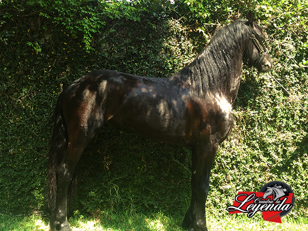 Cuadra_Leyenda